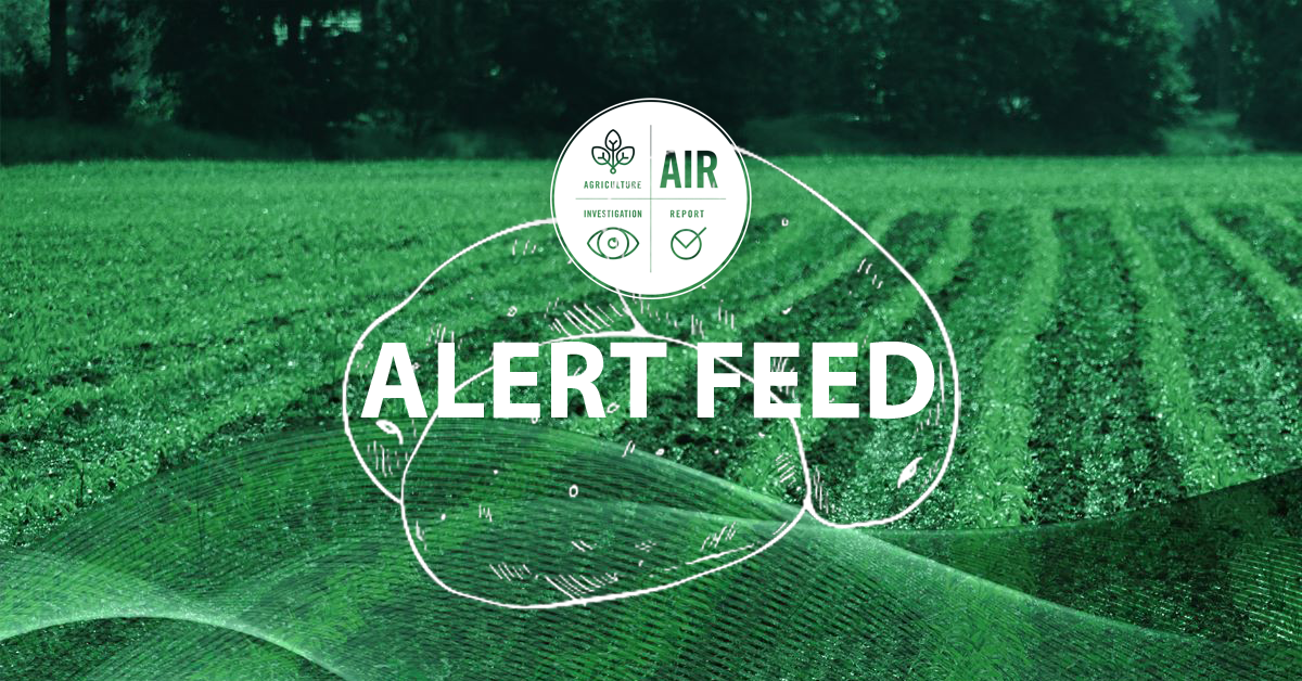 Alert feed - AIR